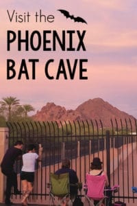 Visiting the Phoenix Bat Cave - Shaping Up To Be A Mom